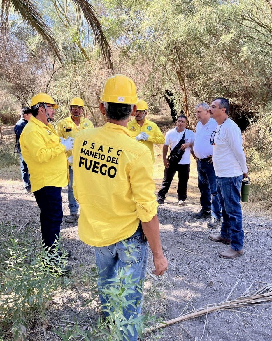 Baja California Sur Refuerza la Prevención de Incendios Forestales con Retiro de Material ...